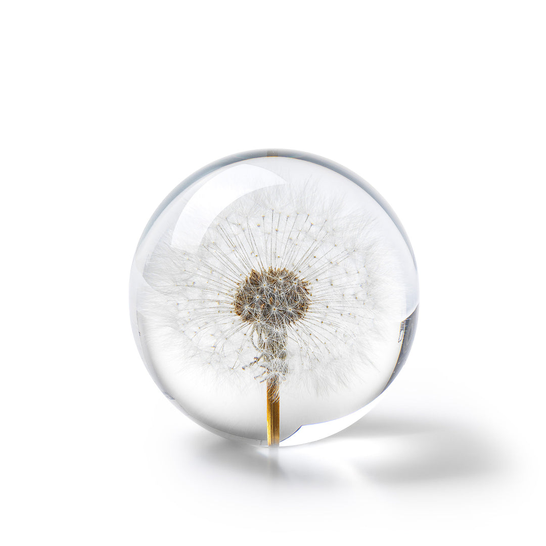 dandelion paperweight
